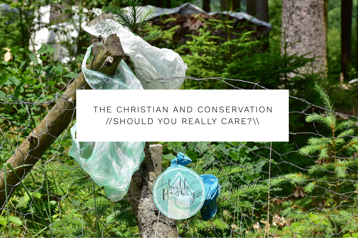 The Christian and Conservation: Should You Really Care? – Her Life, His Way
